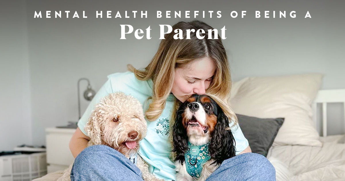 Mental Health Benefits of Being A Pet Parent – WYLD CUB