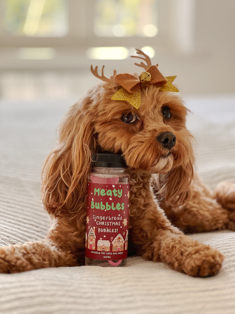 Meaty Bubbles: Gingerbread Flavour Bubbles – WYLD CUB