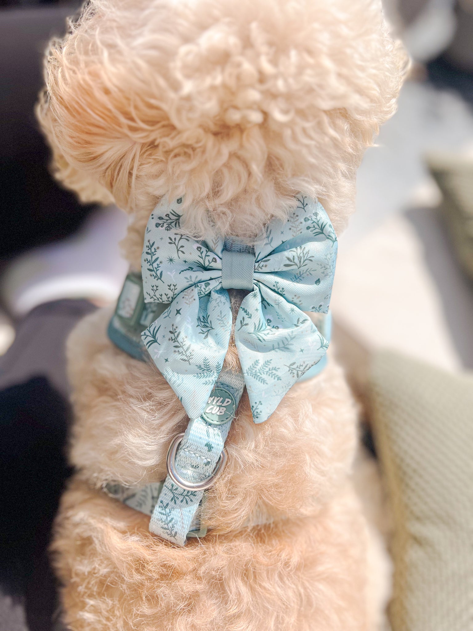 Dog Sailor Bow: Chiswick Pistachio – WYLD CUB