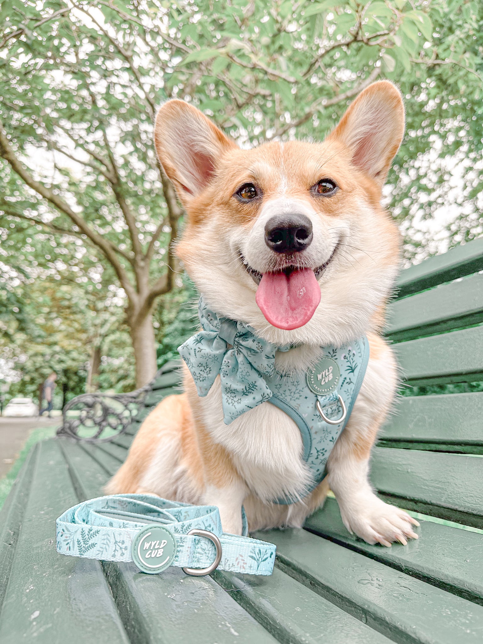 Dog Sailor Bow: Chiswick Pistachio – WYLD CUB