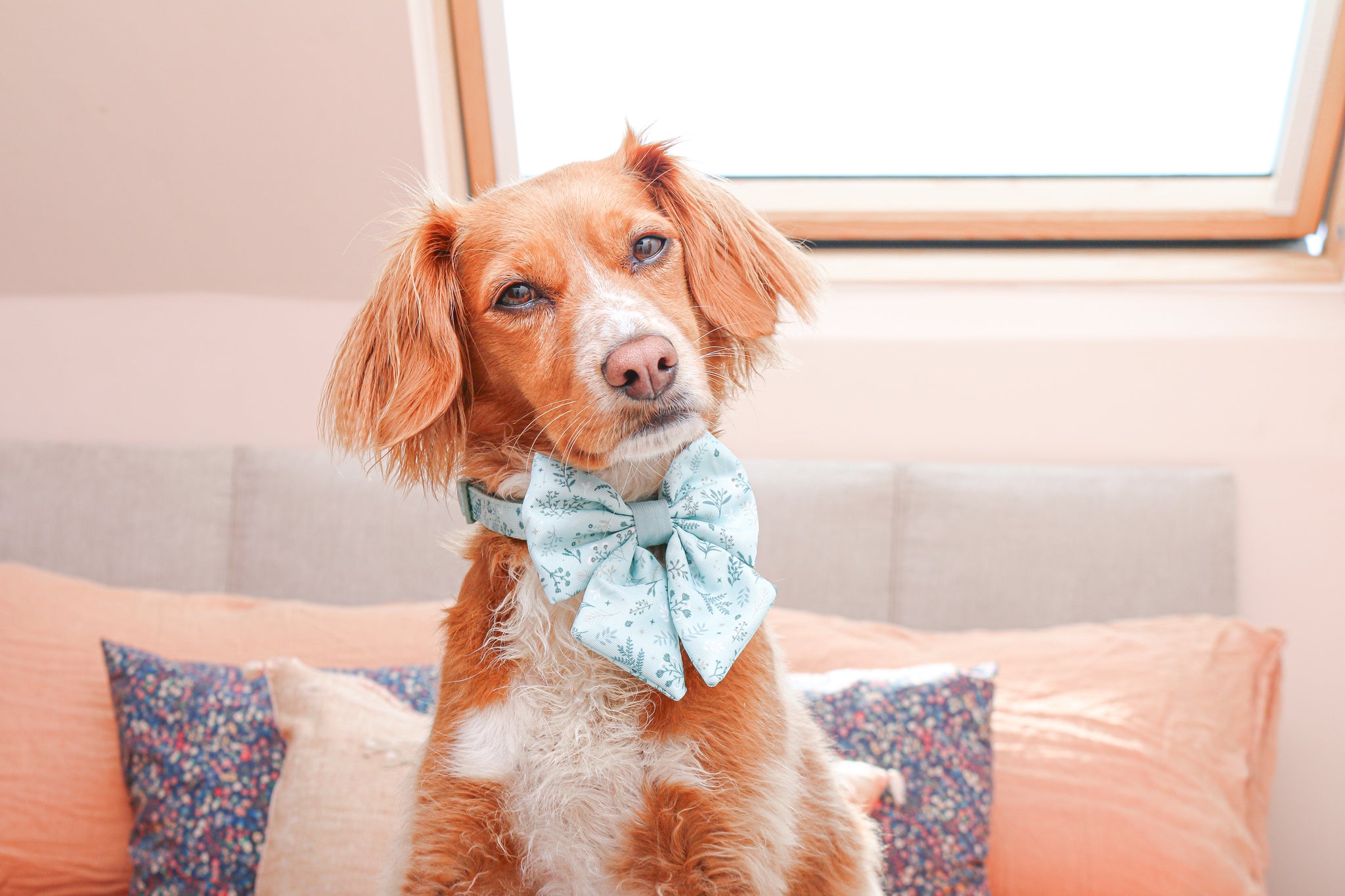 Dog Sailor Bow: Chiswick Pistachio – WYLD CUB