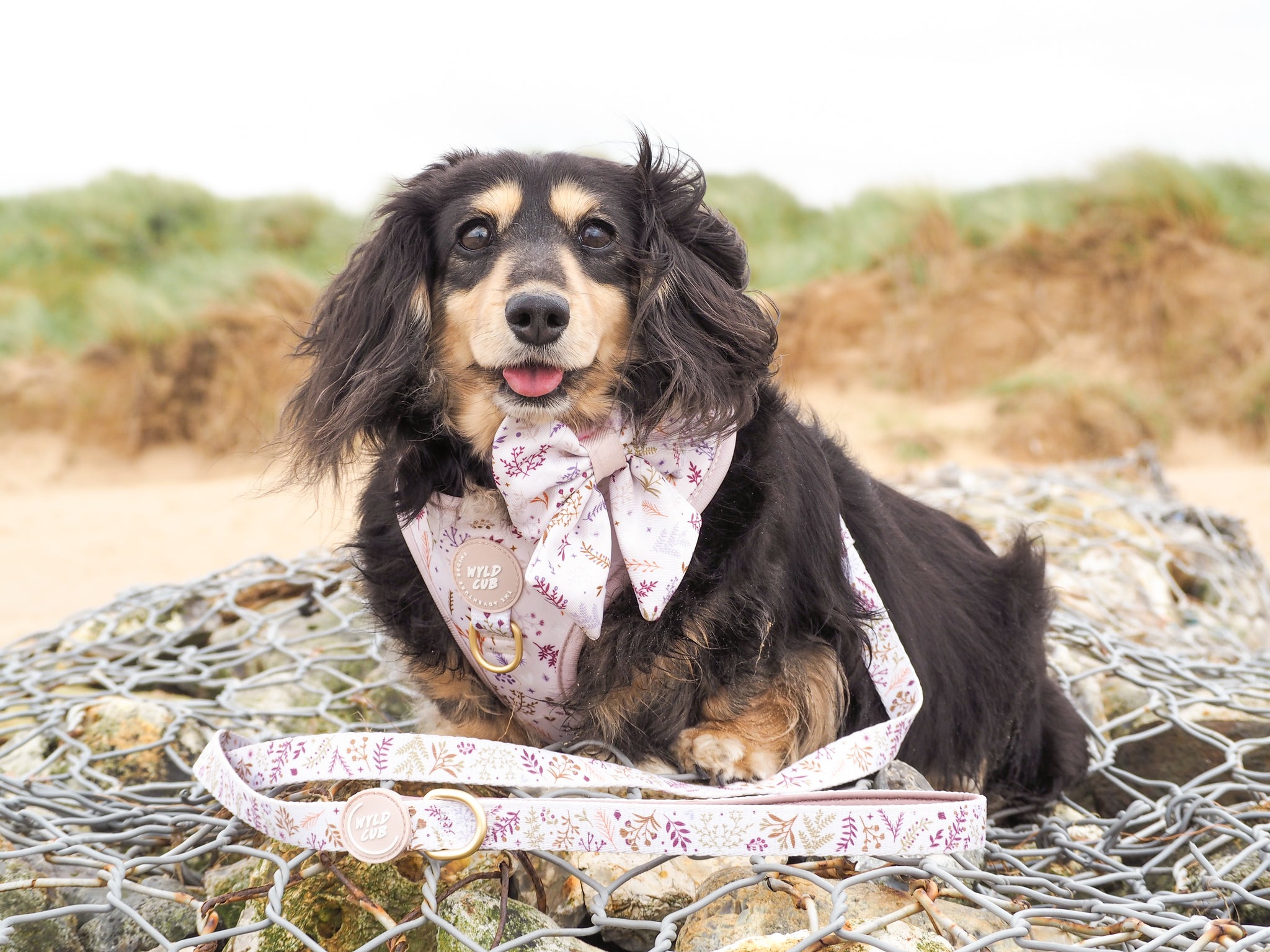 Dog Sailor Bow: Chiswick Oyster – WYLD CUB