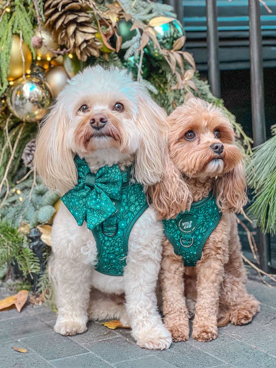 Dog Sailor Bow: Notting Hill Gooseberry – WYLD CUB