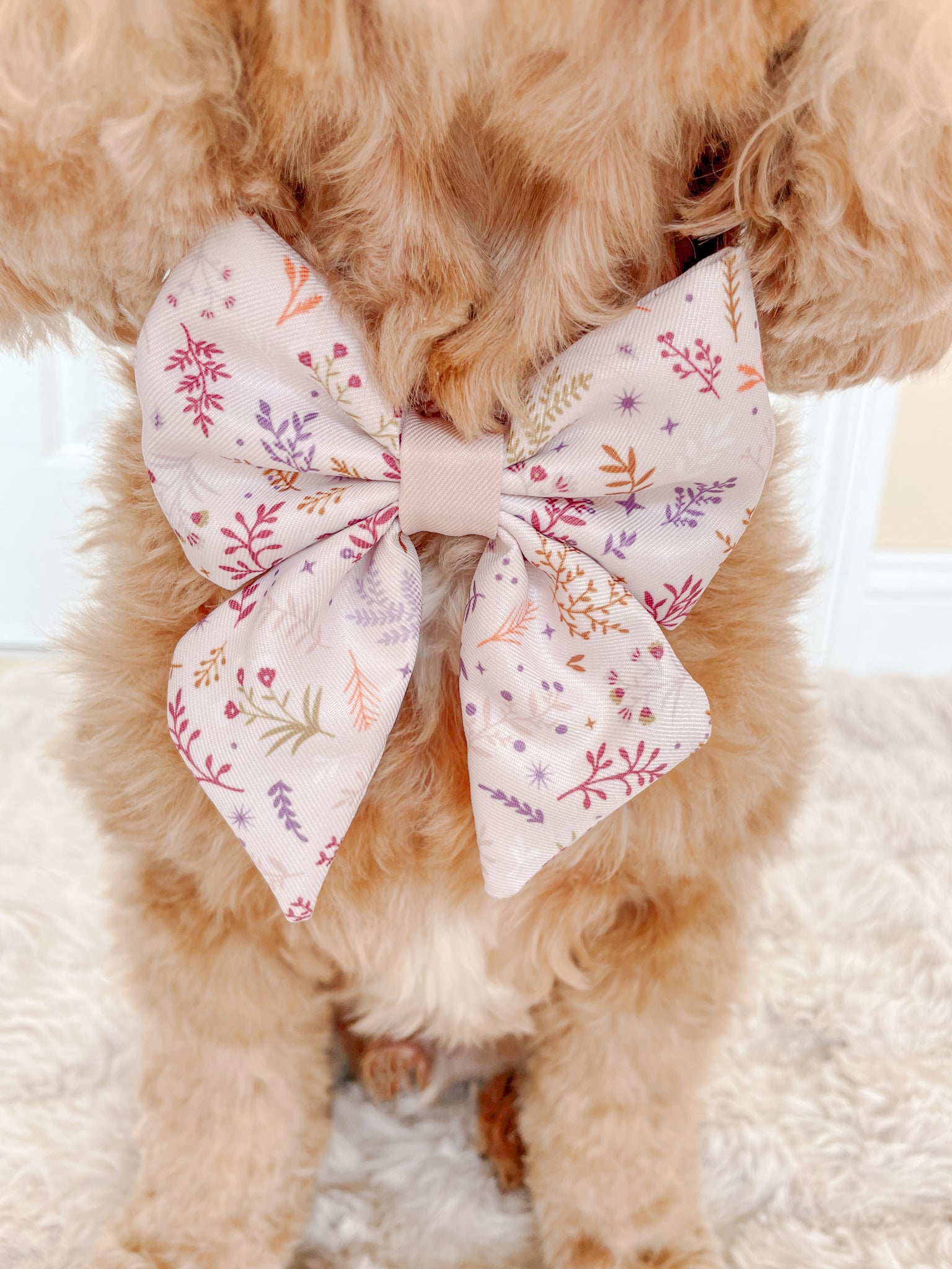 Dog Sailor Bow: Chiswick Oyster – WYLD CUB